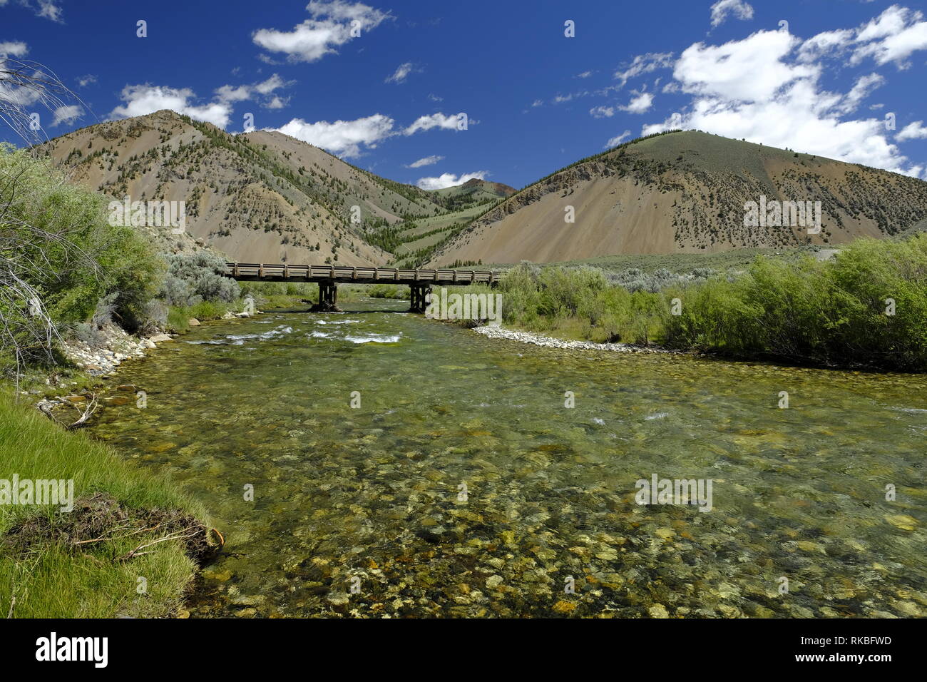 Wildhorse Creek, Idaho Stock Photo - Alamy