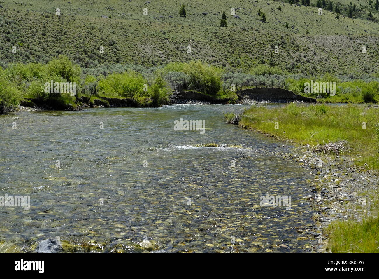 Wildhorse Creek, Idaho Stock Photo - Alamy