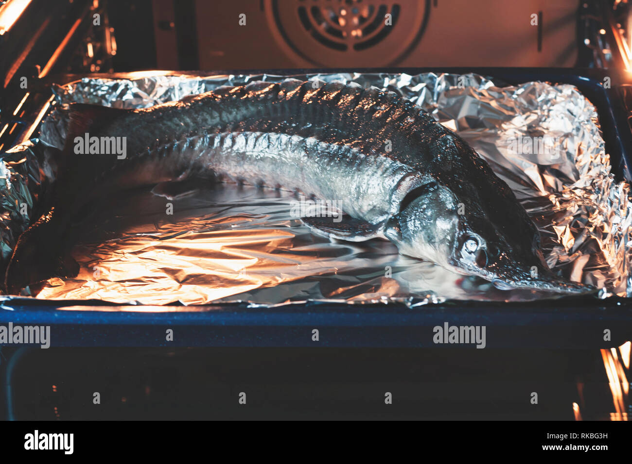 Rare sturgeon hi-res stock photography and images - Alamy