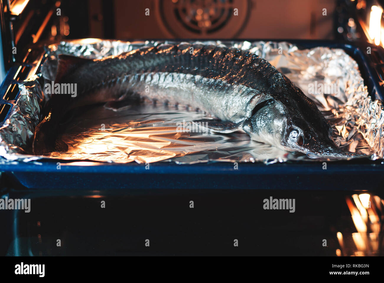 Cooking sturgeon in the oven. Acipenser ruthenus. Selective focus Stock ...