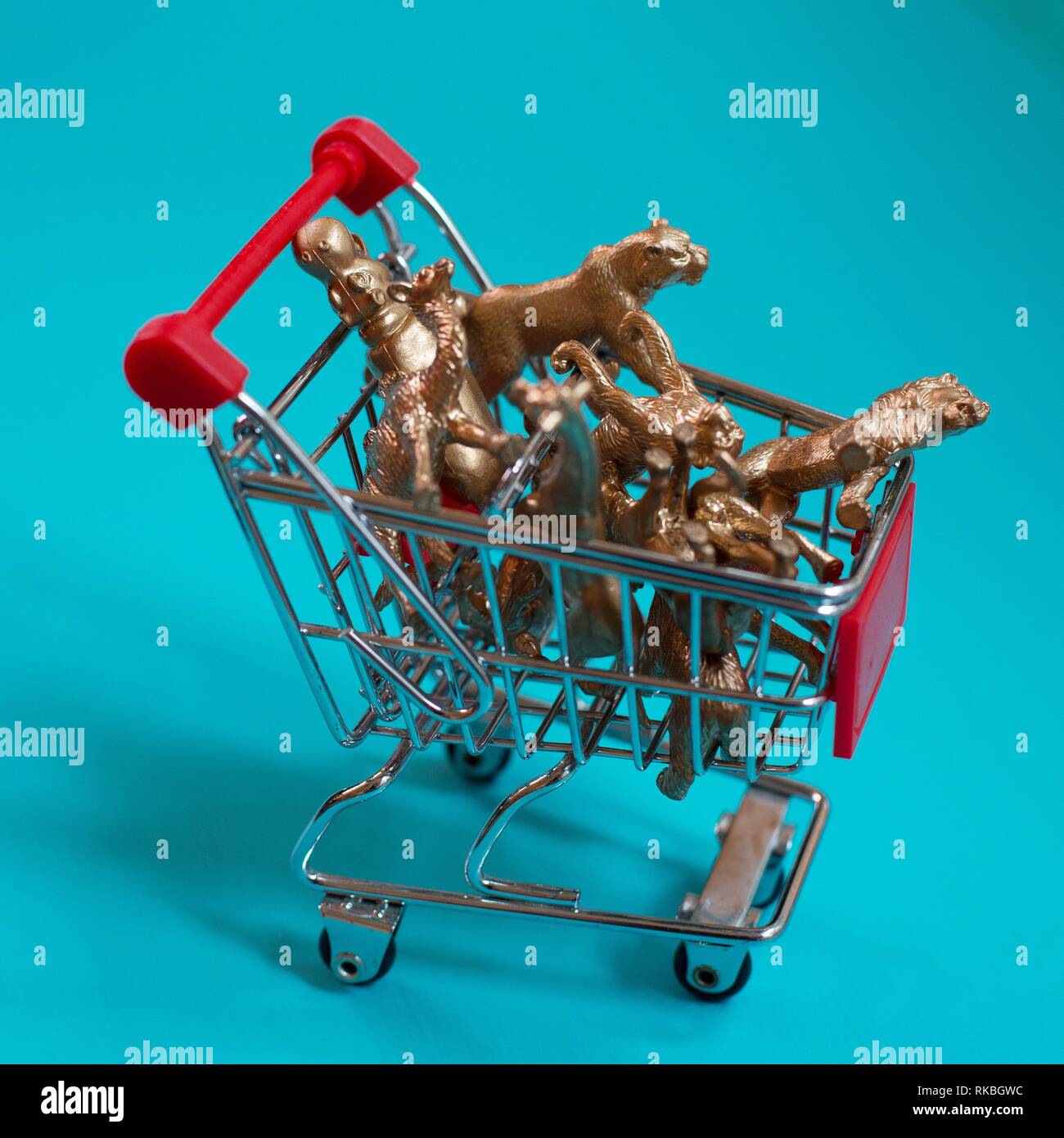 Exotic animal toys in a shopping cart Stock Photo - Alamy