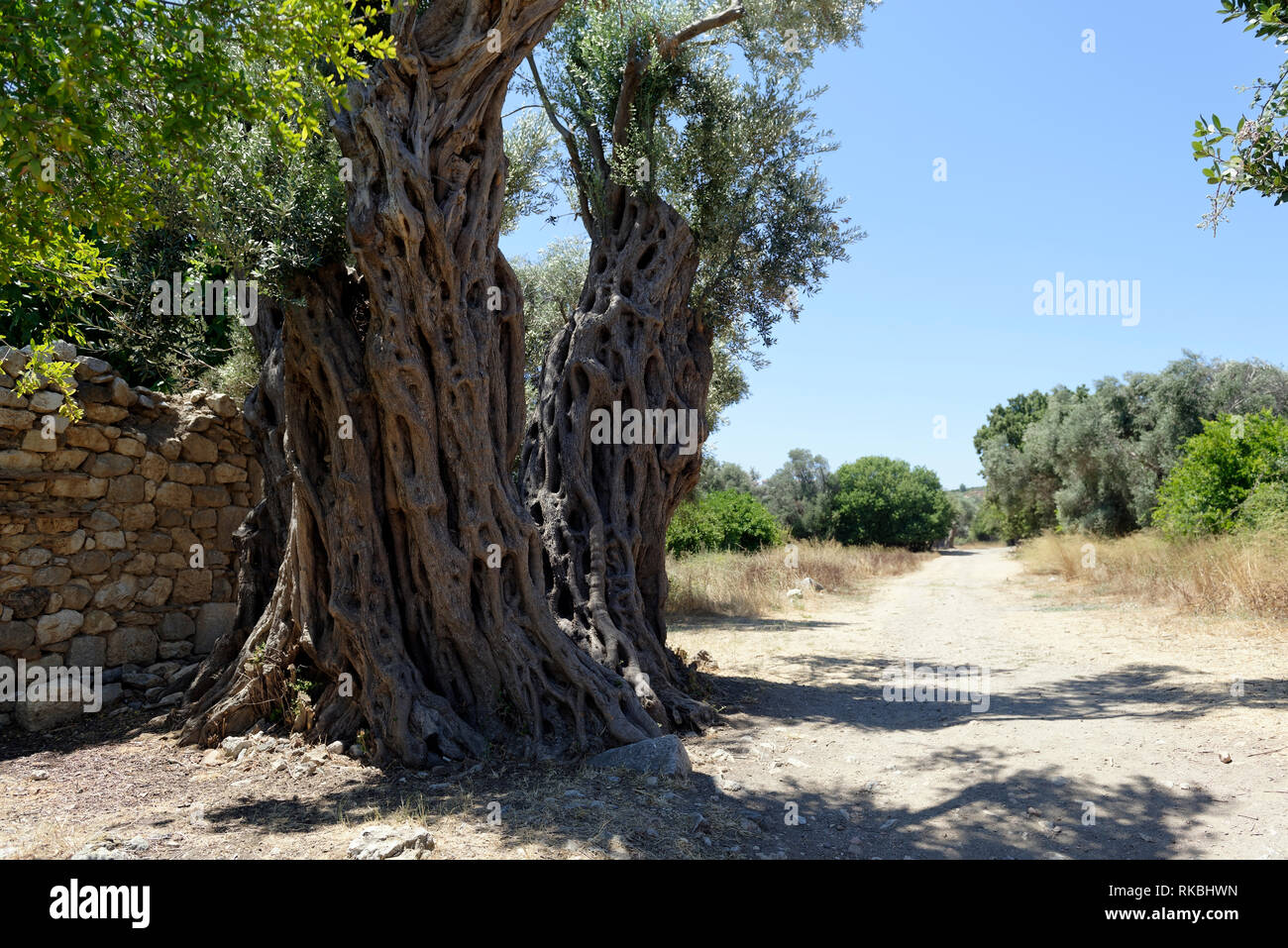 Antik pagan city hi-res stock photography and images - Alamy