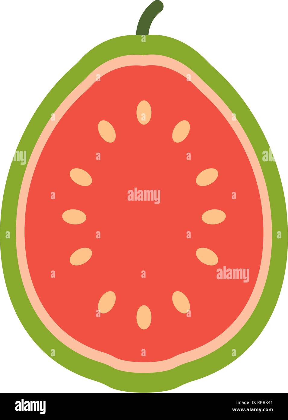 isolated cut guava image, vector illustration design Stock Vector Image ...