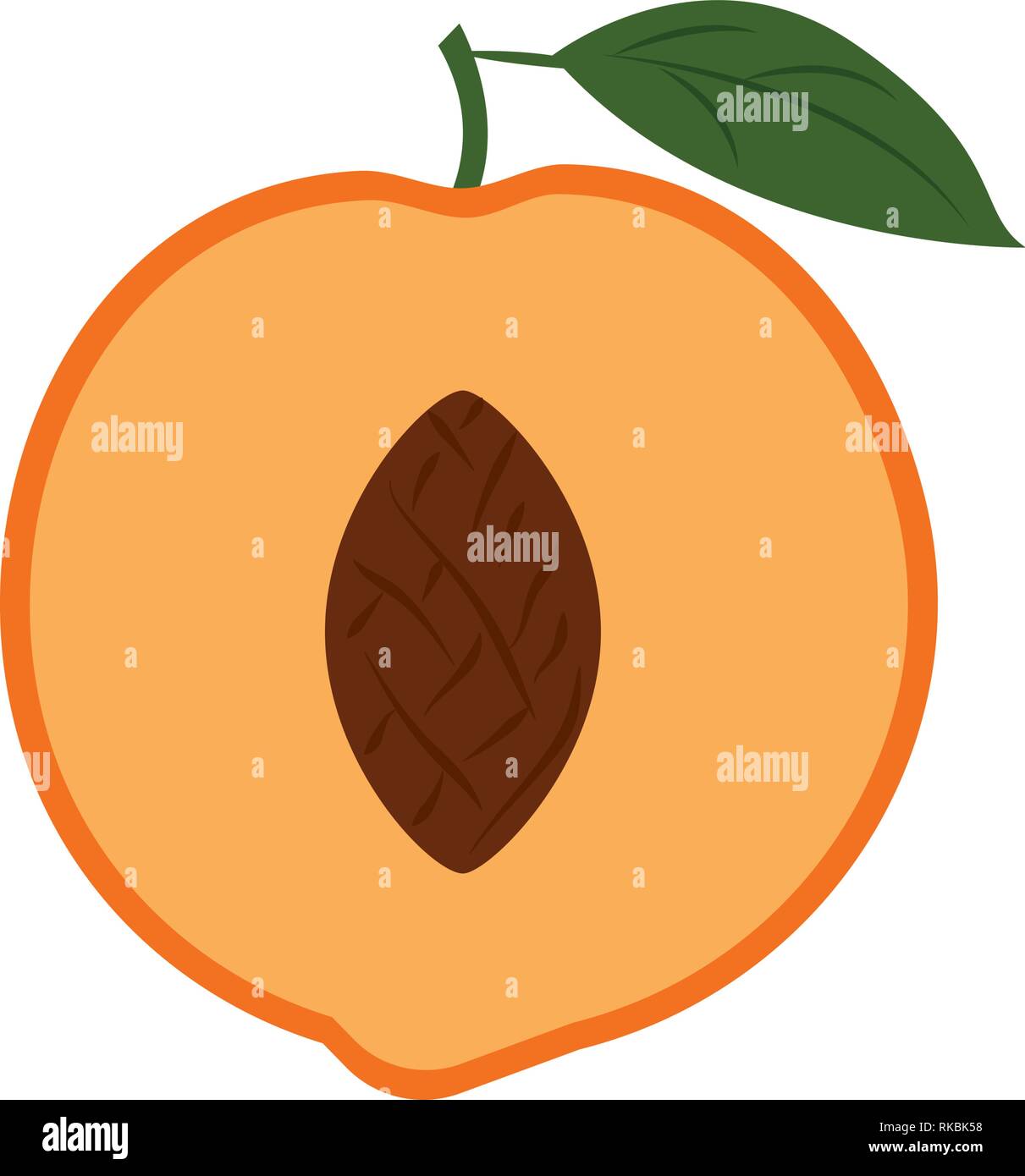 isolated cut peach image, vector illustration design Stock Vector Image ...
