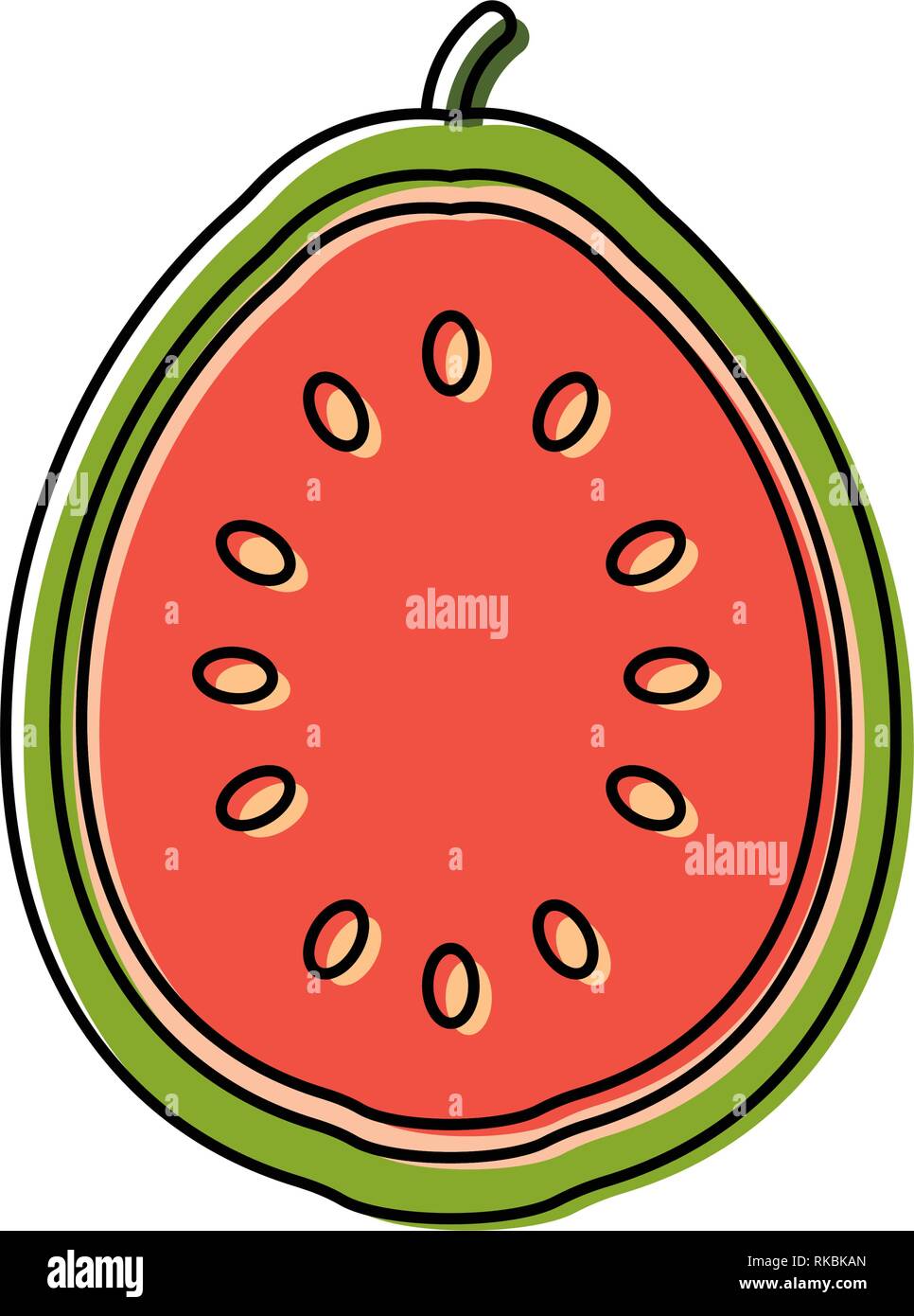 isolated cut guava image, vector illustration design Stock Vector Image ...