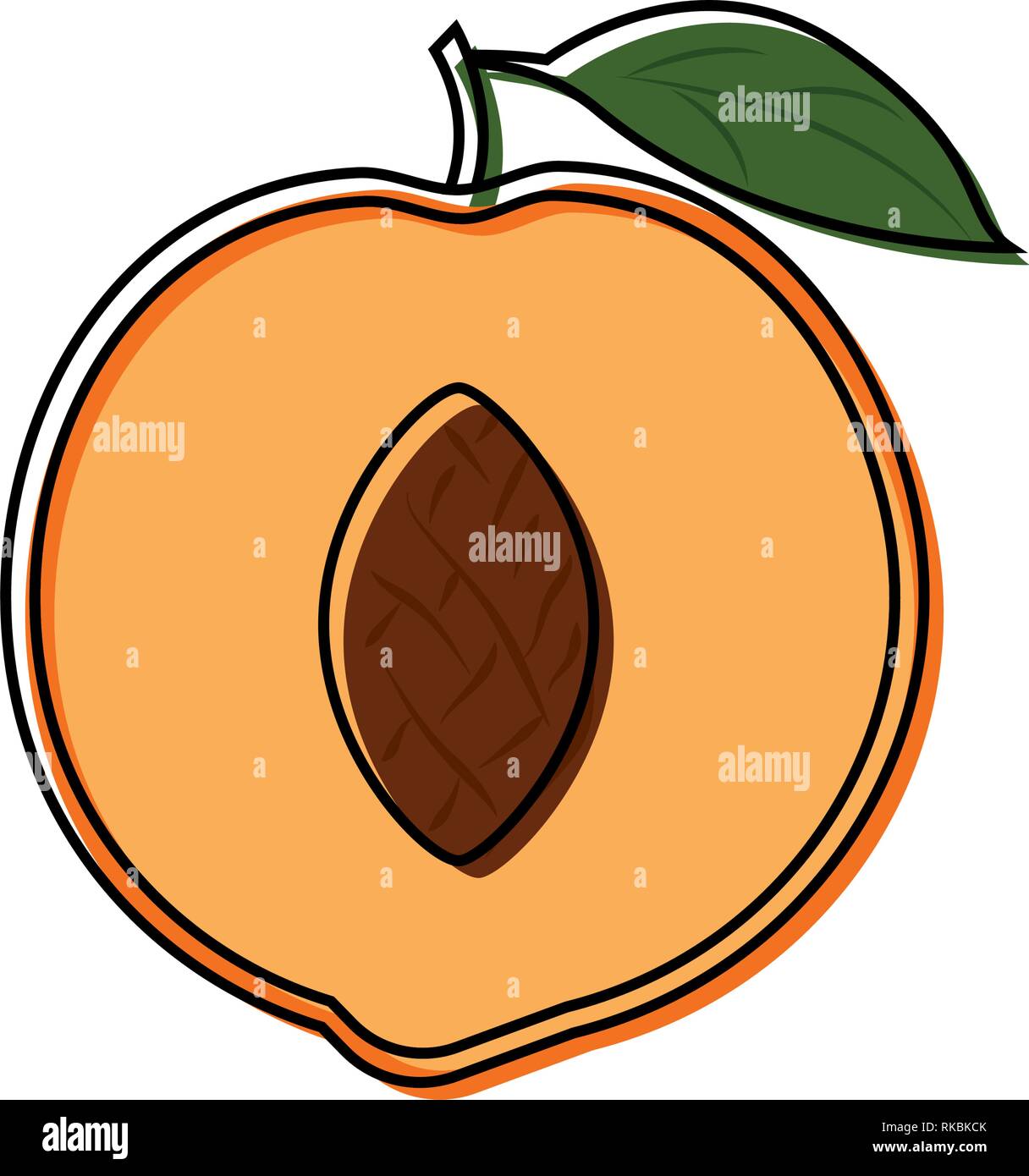 isolated cut peach image, vector illustration design Stock Vector Image ...