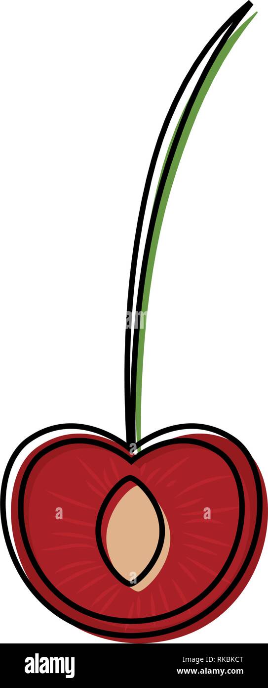 isolated cut cherry image, vector illustration design Stock Vector ...