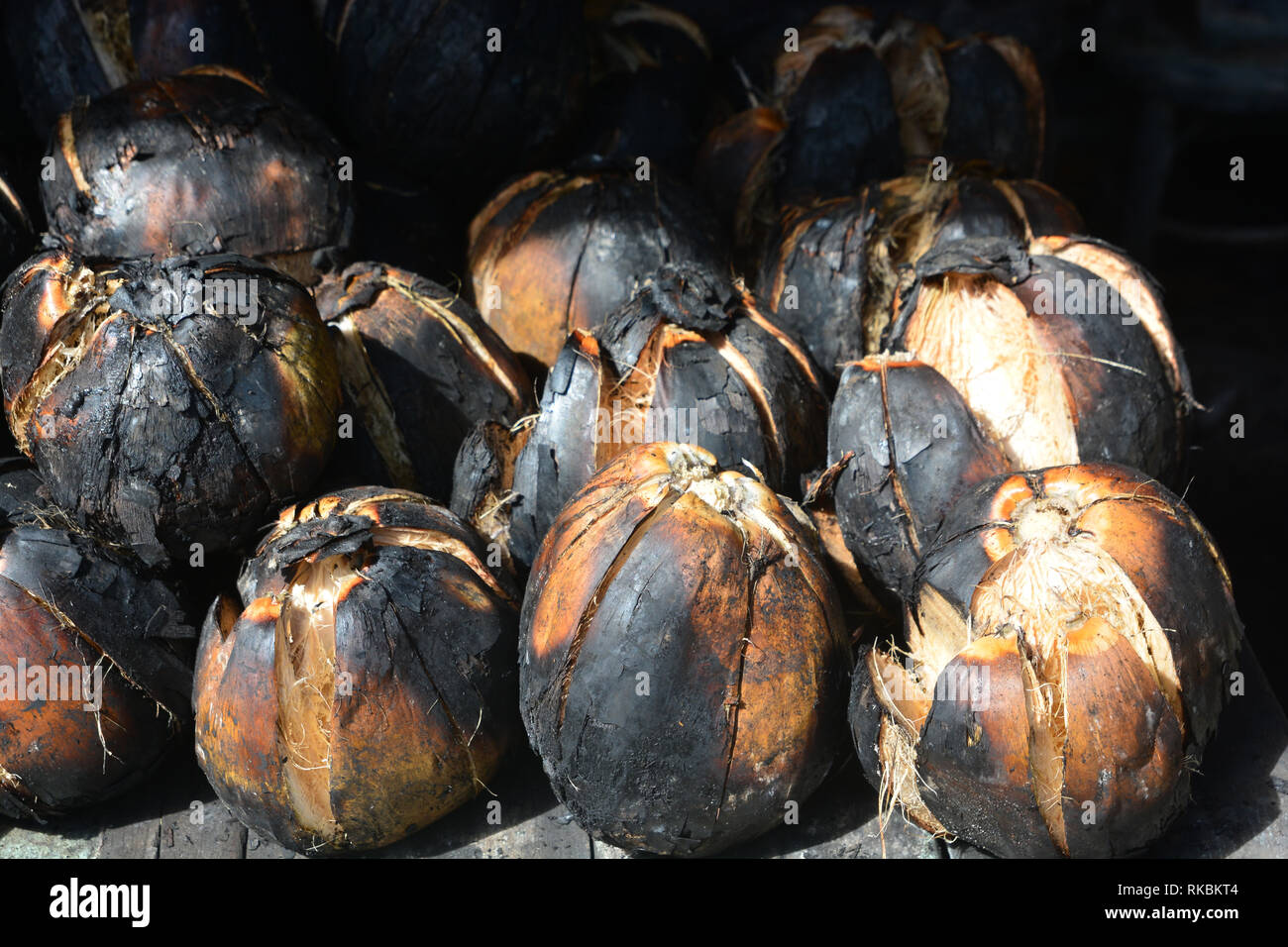 roasted coconut, Coconut burn Stock Photo - Alamy