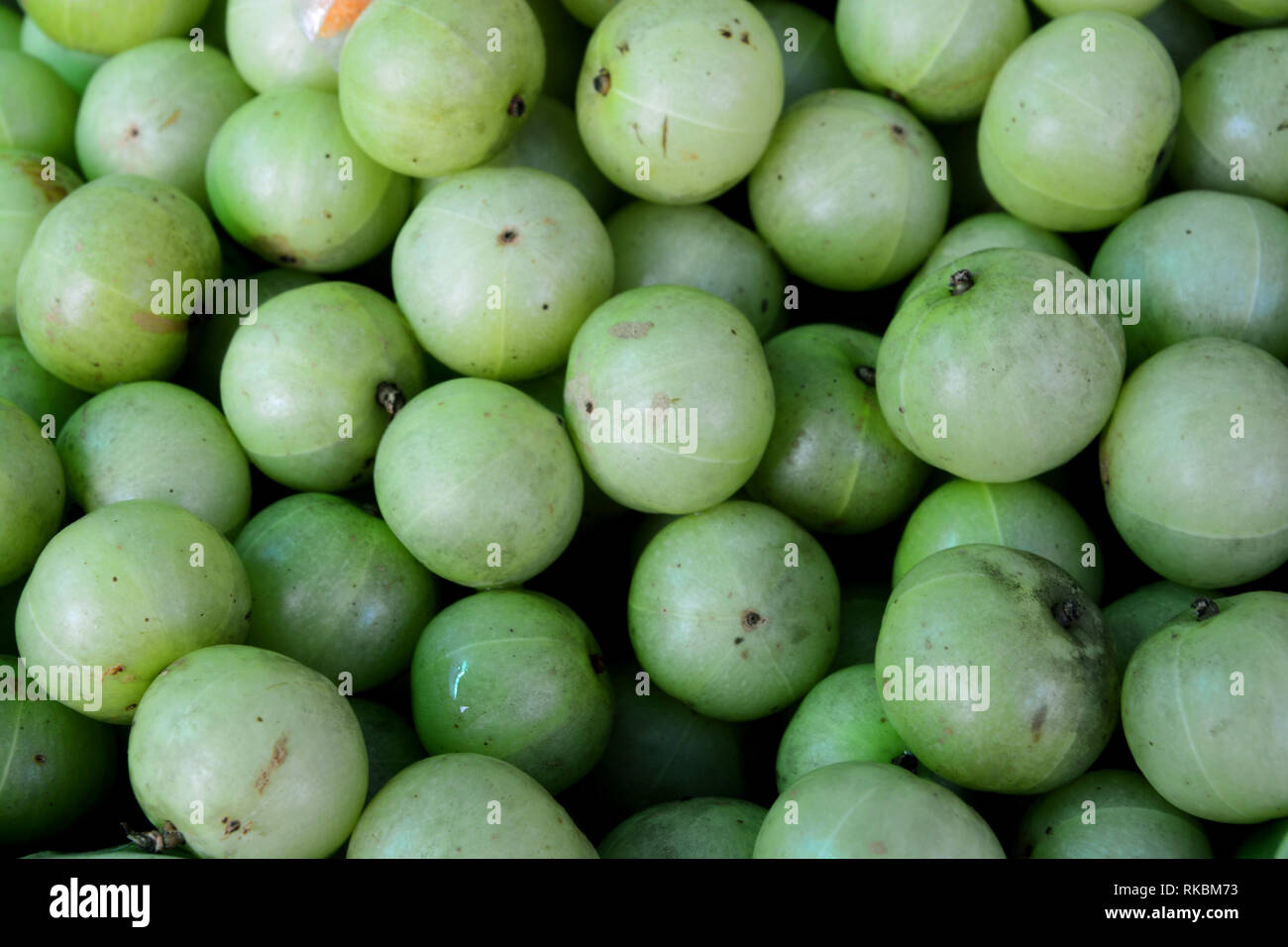 Lot of indian gooseberry hi-res stock photography and images - Alamy