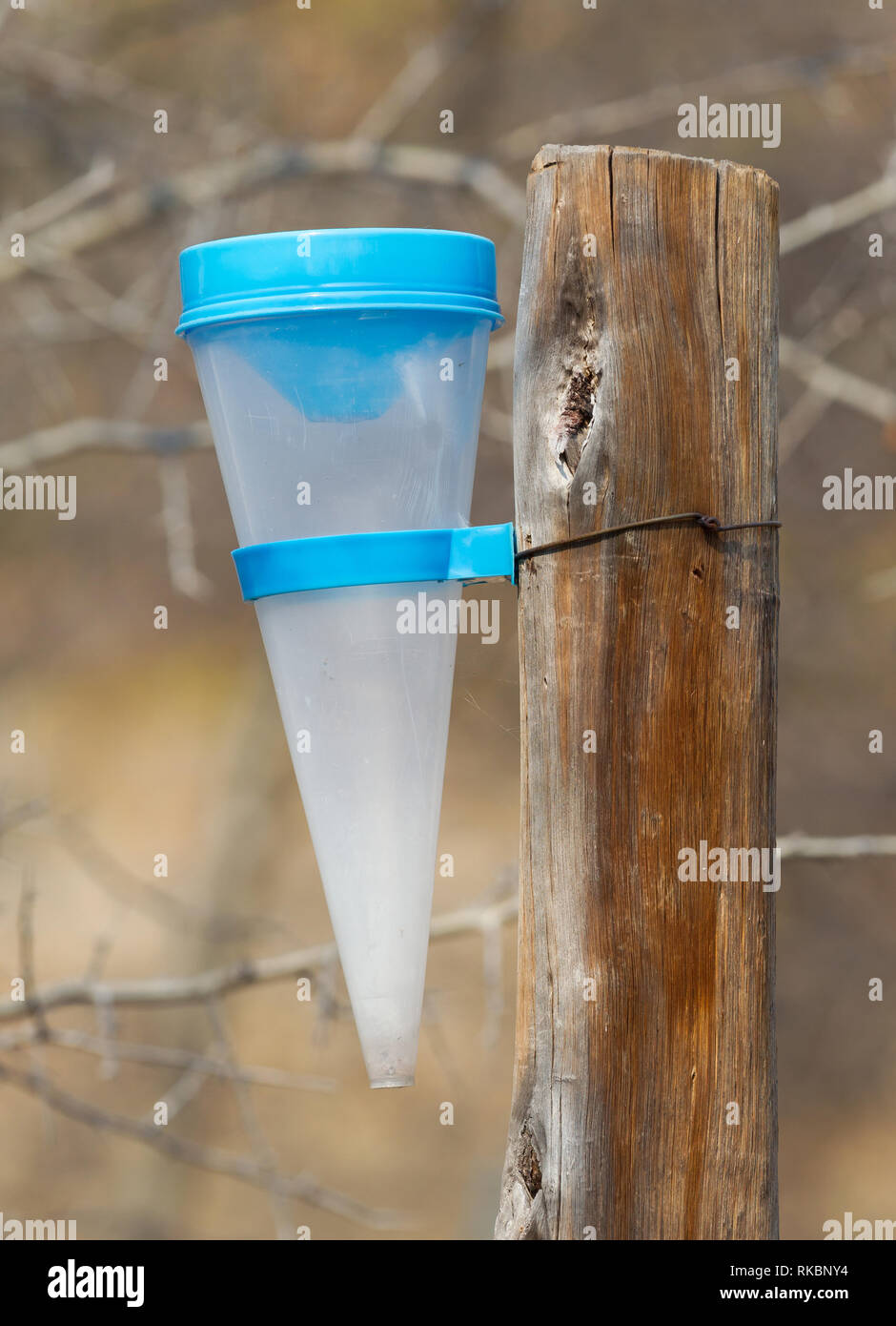 Plastic wasp catcher hanging at a campsite in Namibia Stock Photo - Alamy