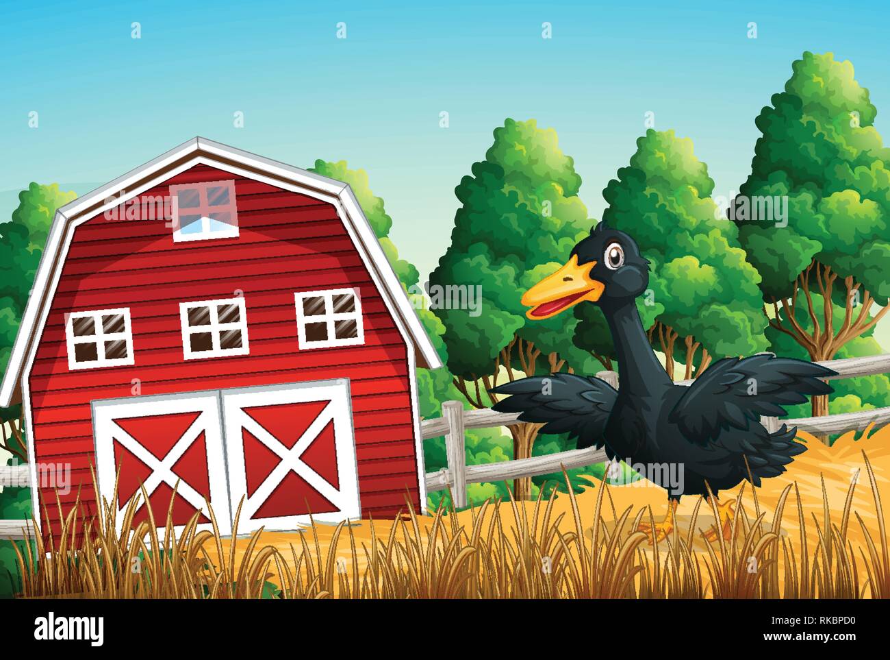 A duck at farm scene illustration Stock Vector Image & Art - Alamy