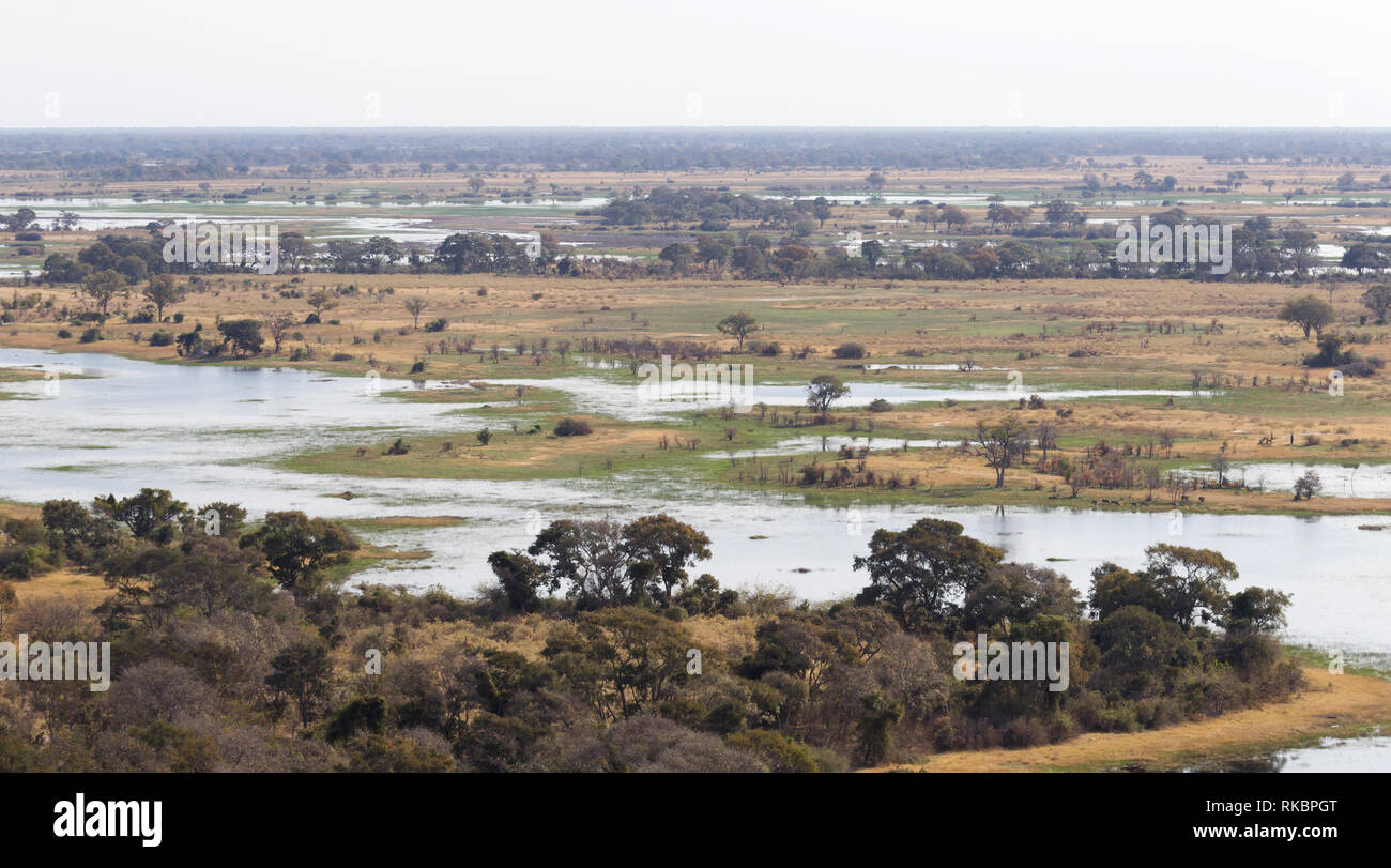 Okavango Delta aerial view, Botswana's stunning landscape Stock Photo ...