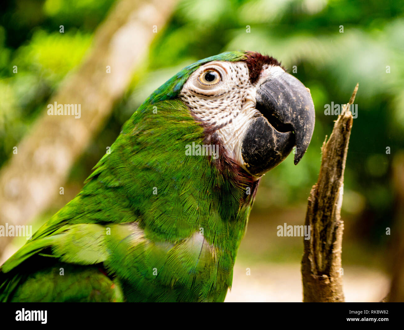 Beautiful Colombia High Resolution Stock Photography and Images - Alamy