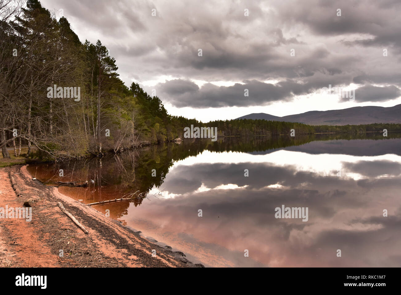 Loch Garten, Cairngorms, Scotland Stock Photo - Alamy