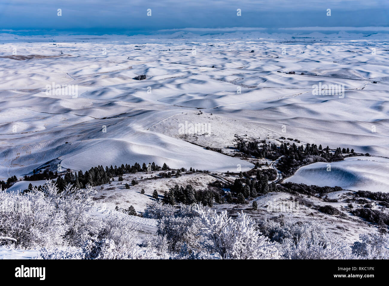 Snow Covered Farmland In The Rolling Hills Of The Palouse From Steptoe ...