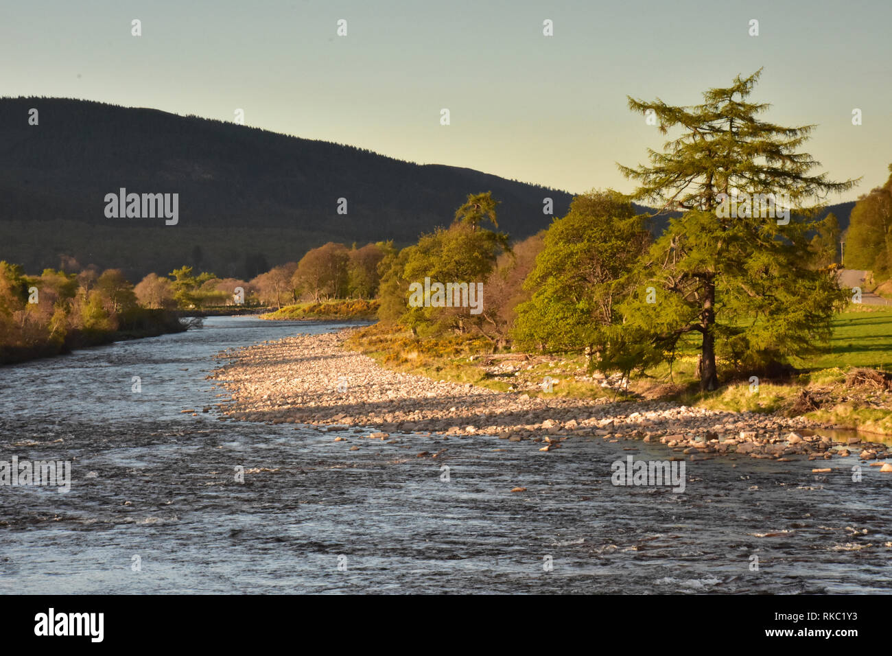 River Dee in the Cairngorms, Scotland Stock Photo - Alamy