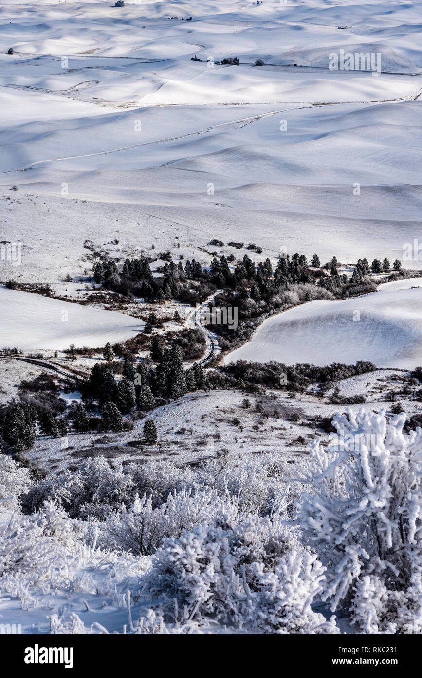 Snow Covered Farmland In The Rolling Hills Of The Palouse From Steptoe ...