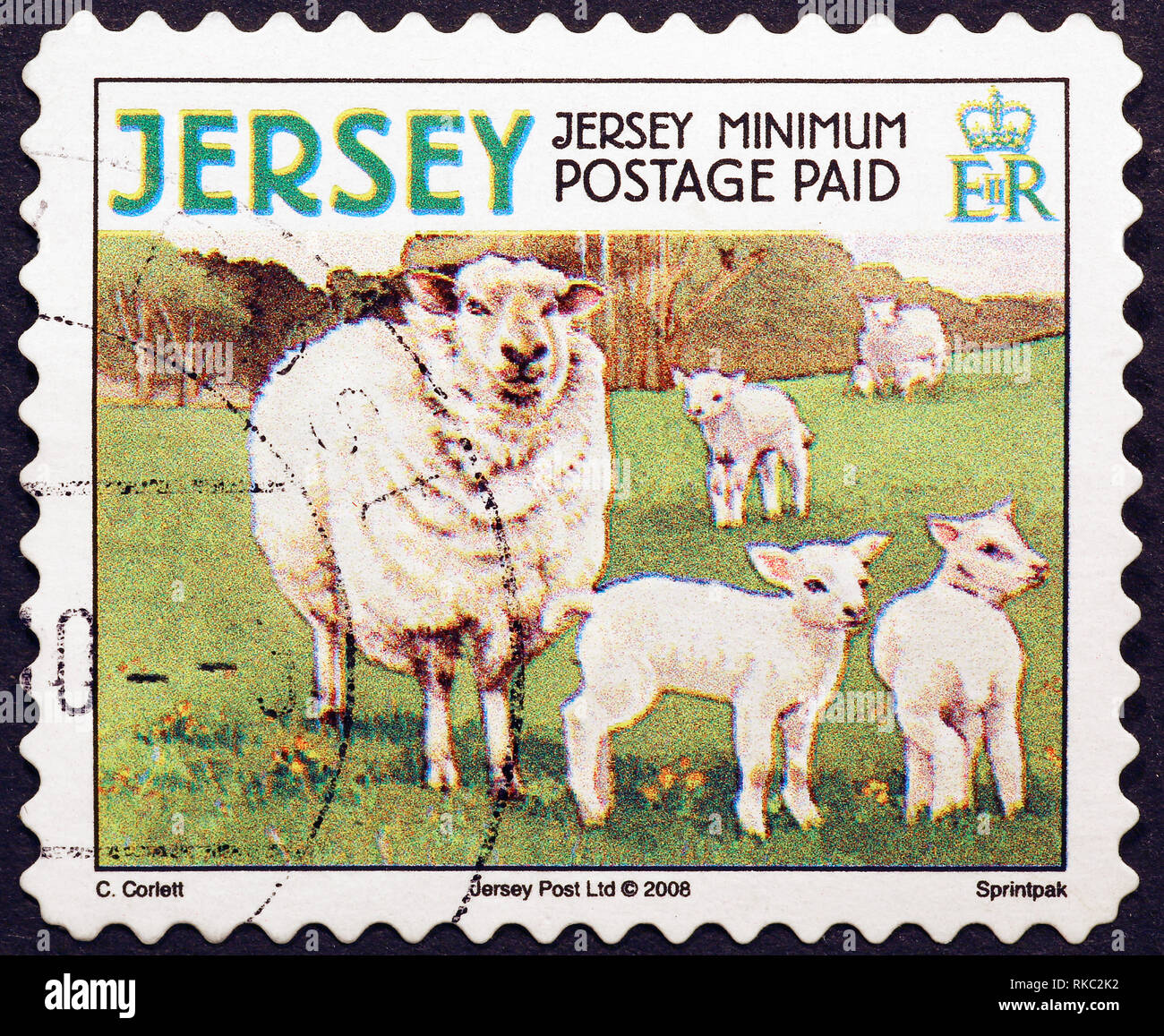 Jersey collection hi-res stock photography and images - Alamy