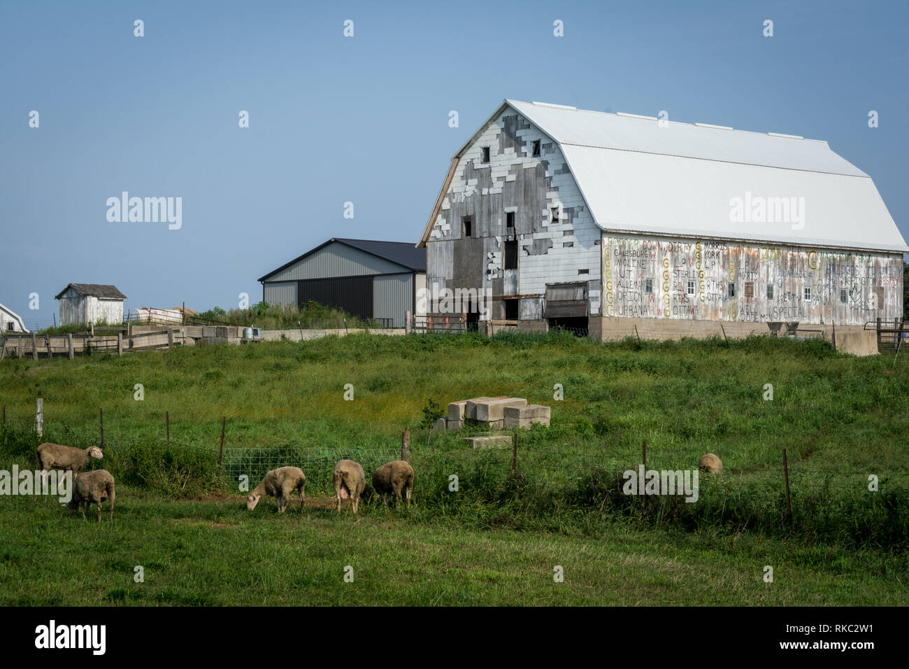 Rural midwest sheep farm Stock Photo - Alamy
