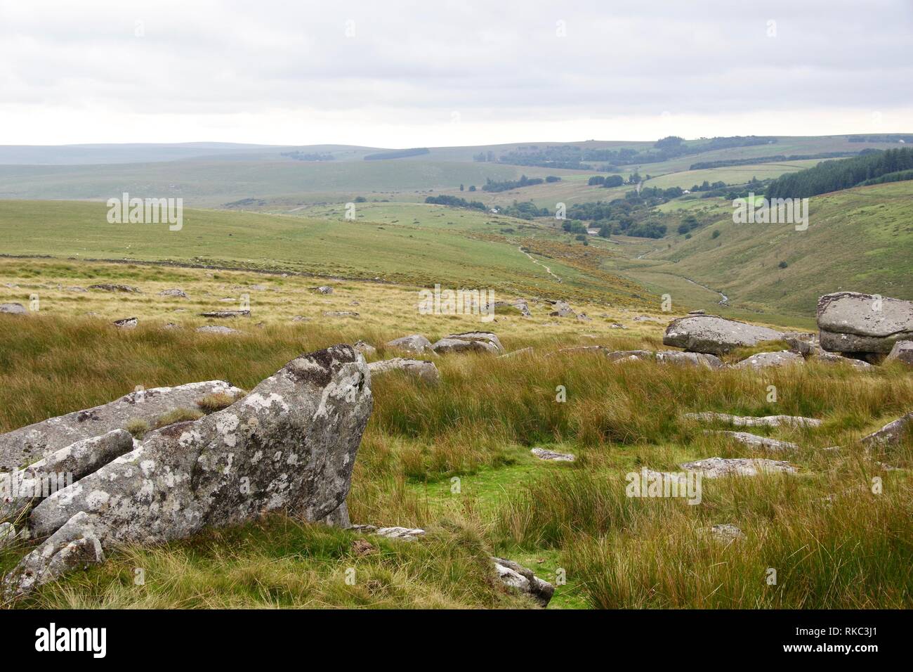 Littaford Tors, Cornubian Granite Tor on a Grey Day. By Wistmans Wood ...