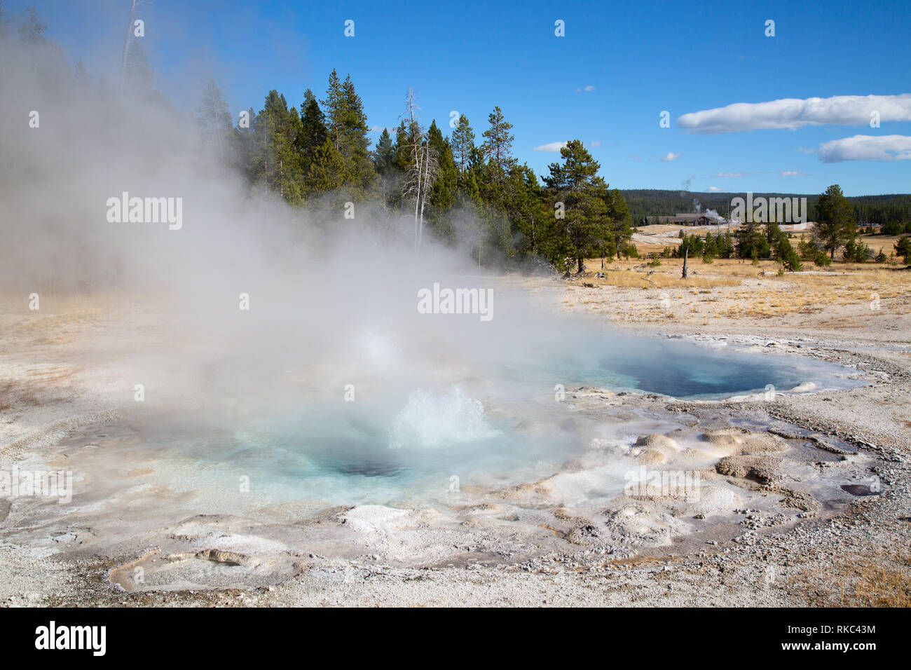 Geyser eruption in the Yellowstone national park, USA Stock Photo - Alamy