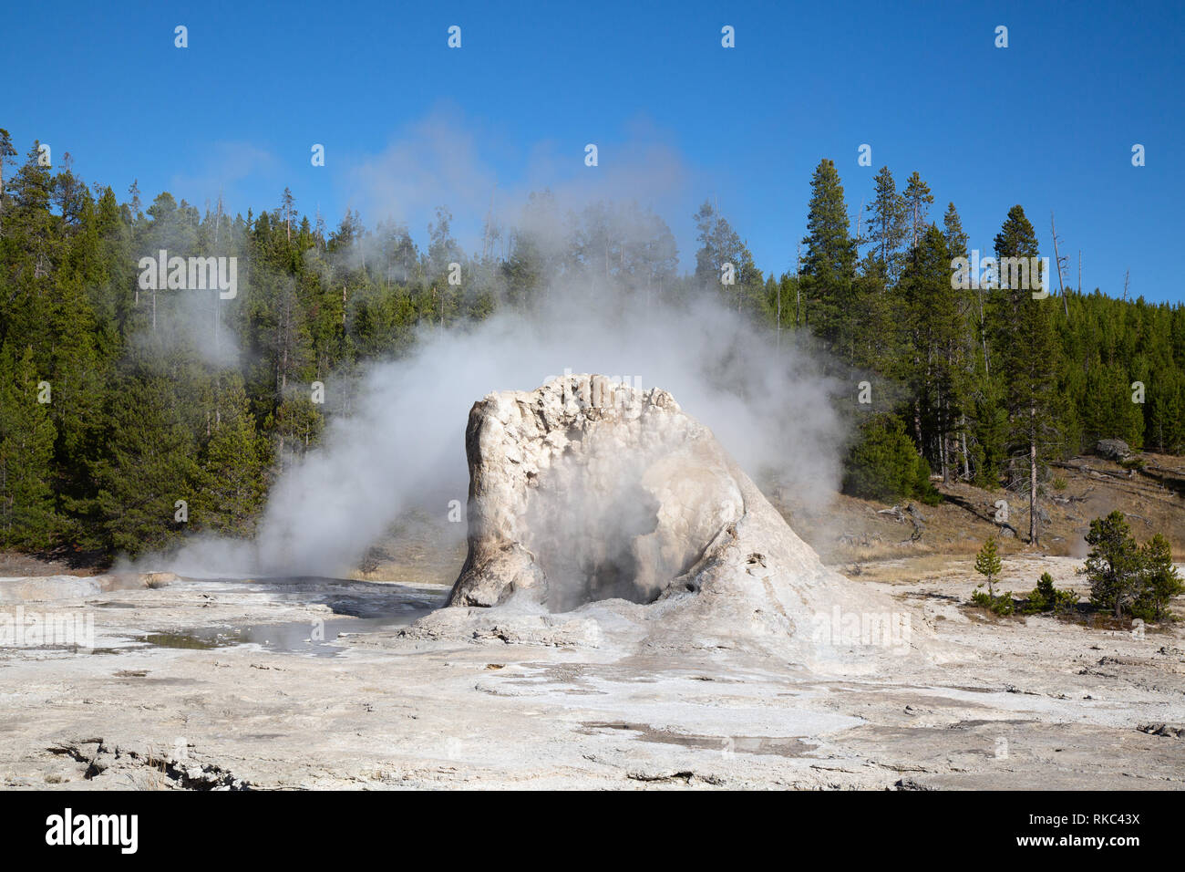 Geyser eruption in the Yellowstone national park, USA Stock Photo - Alamy