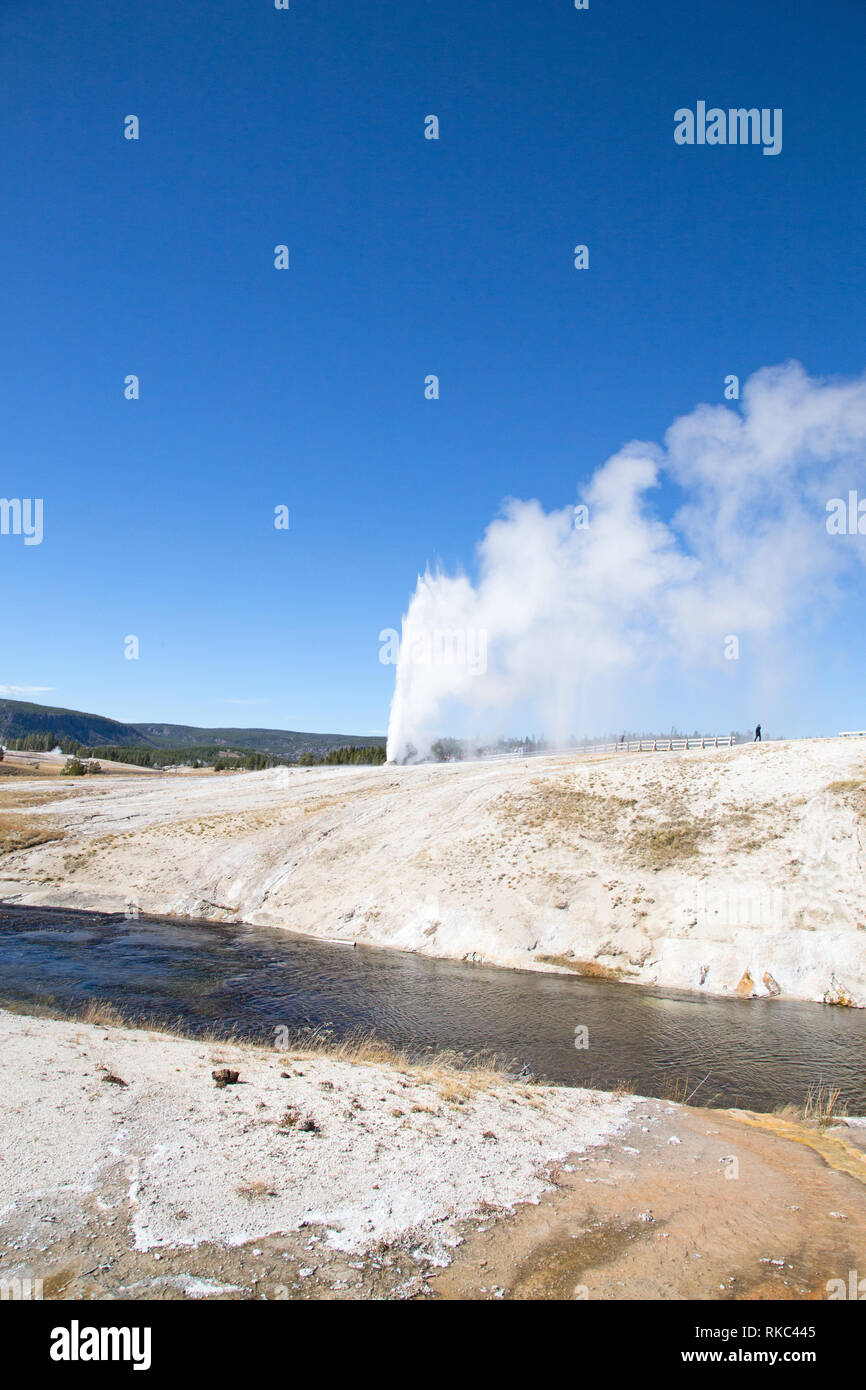 Geyser eruption in the Yellowstone national park, USA Stock Photo - Alamy