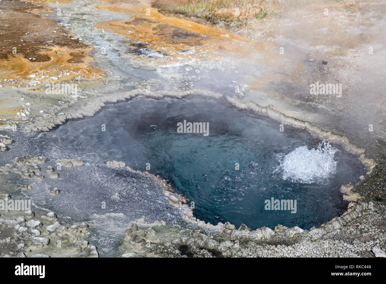 Colorful hot water pool in the Yellowstone National park, USA Stock ...