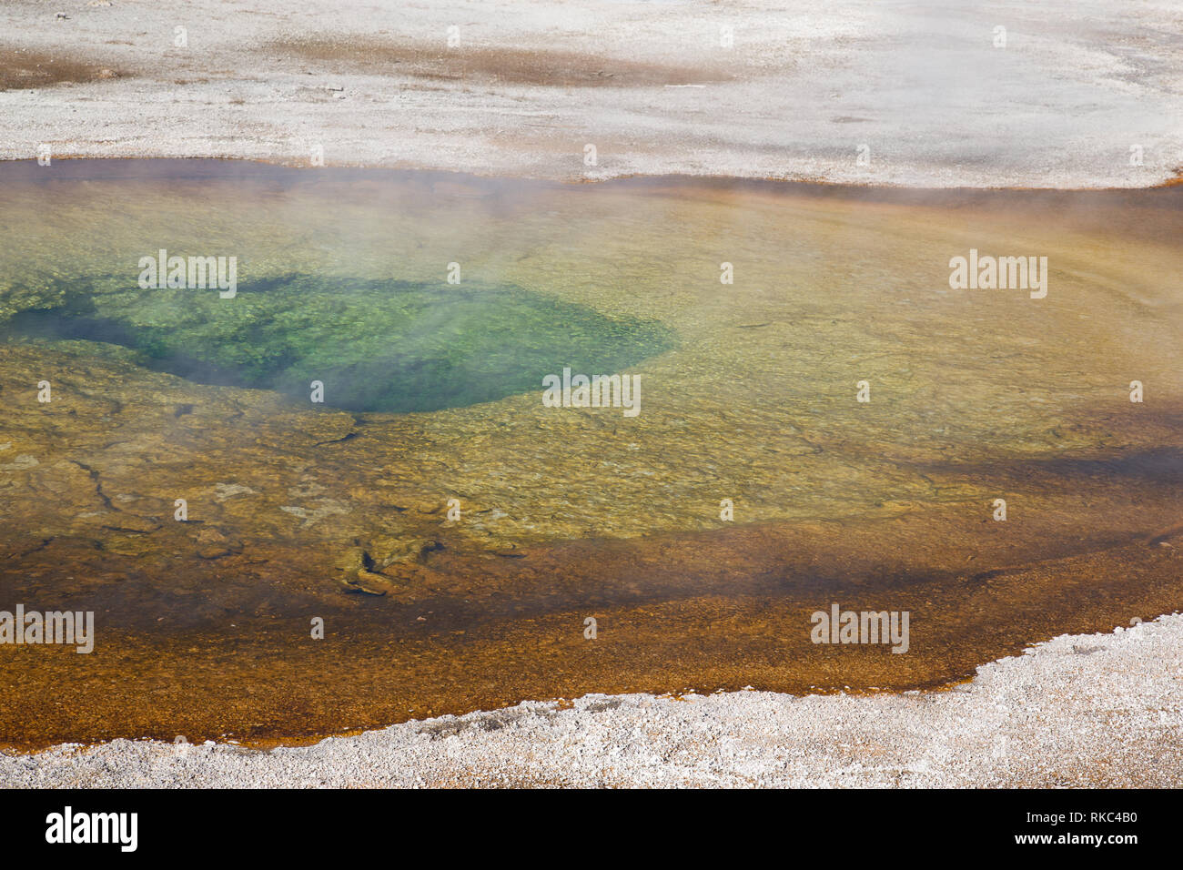 Colorful hot water pool in the Yellowstone National park, USA Stock ...