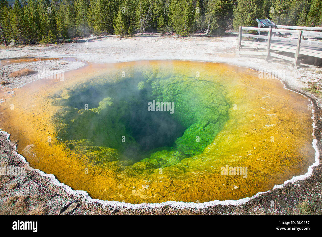 Colorful hot water pool in the Yellowstone National park, USA Stock ...