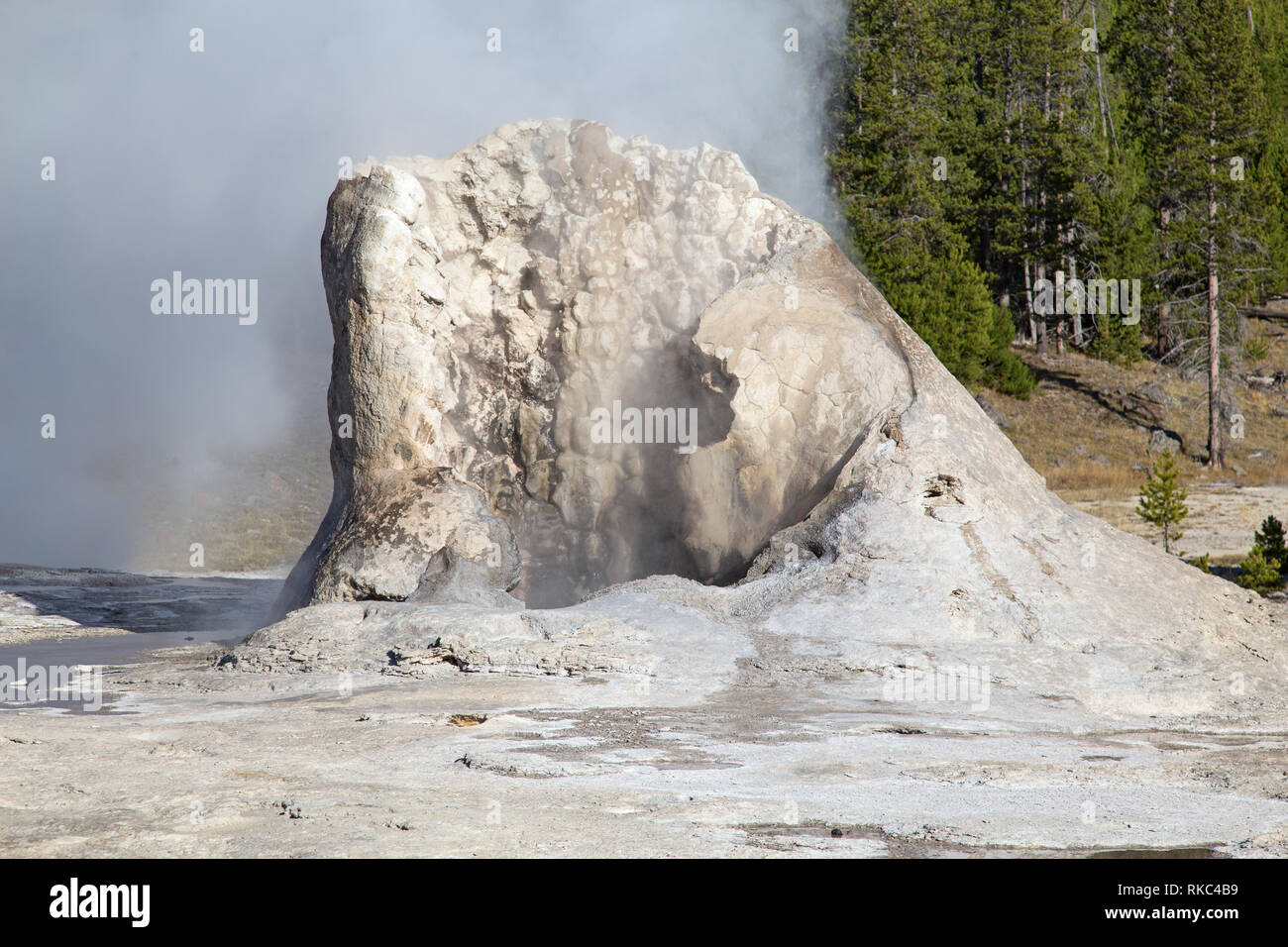 Geyser eruption in the Yellowstone national park, USA Stock Photo - Alamy