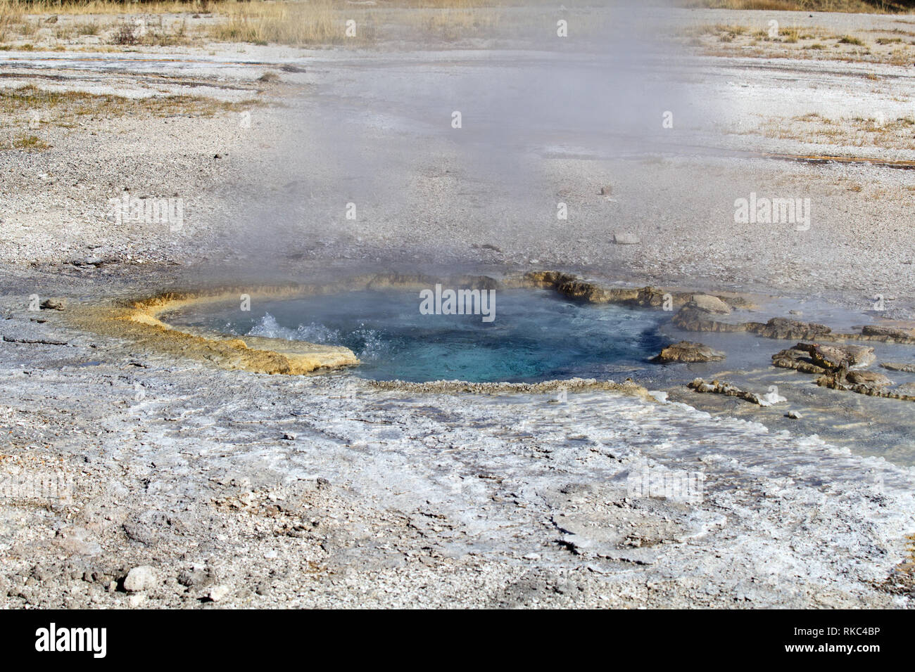 Colorful hot water pool in the Yellowstone National park, USA Stock ...