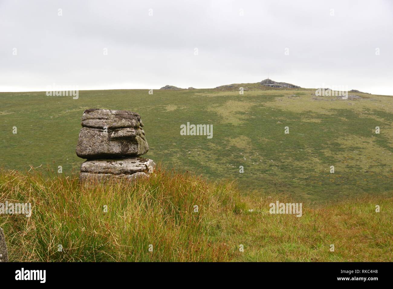 Littaford Tors, Cornubian Granite Tor on a Grey Day. By Wistmans Wood ...