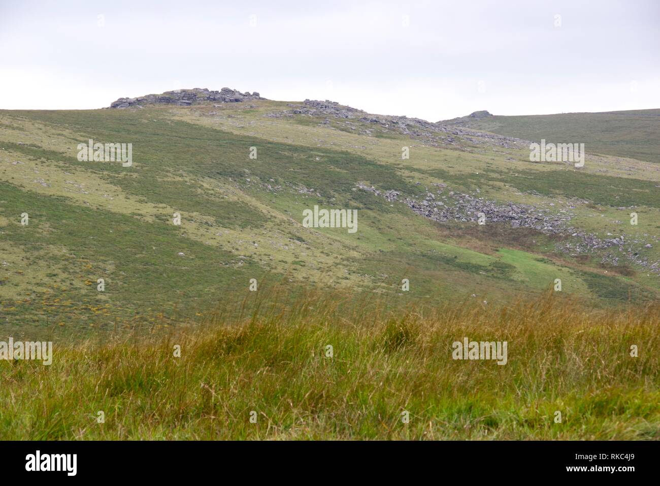 Littaford Tors, Cornubian Granite Tor on a Grey Day. By Wistmans Wood ...