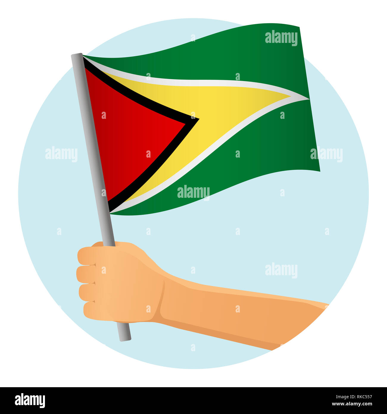 Guyana flag in hand. Patriotic background. National flag of Guyana illustration Stock Photo - Alamy