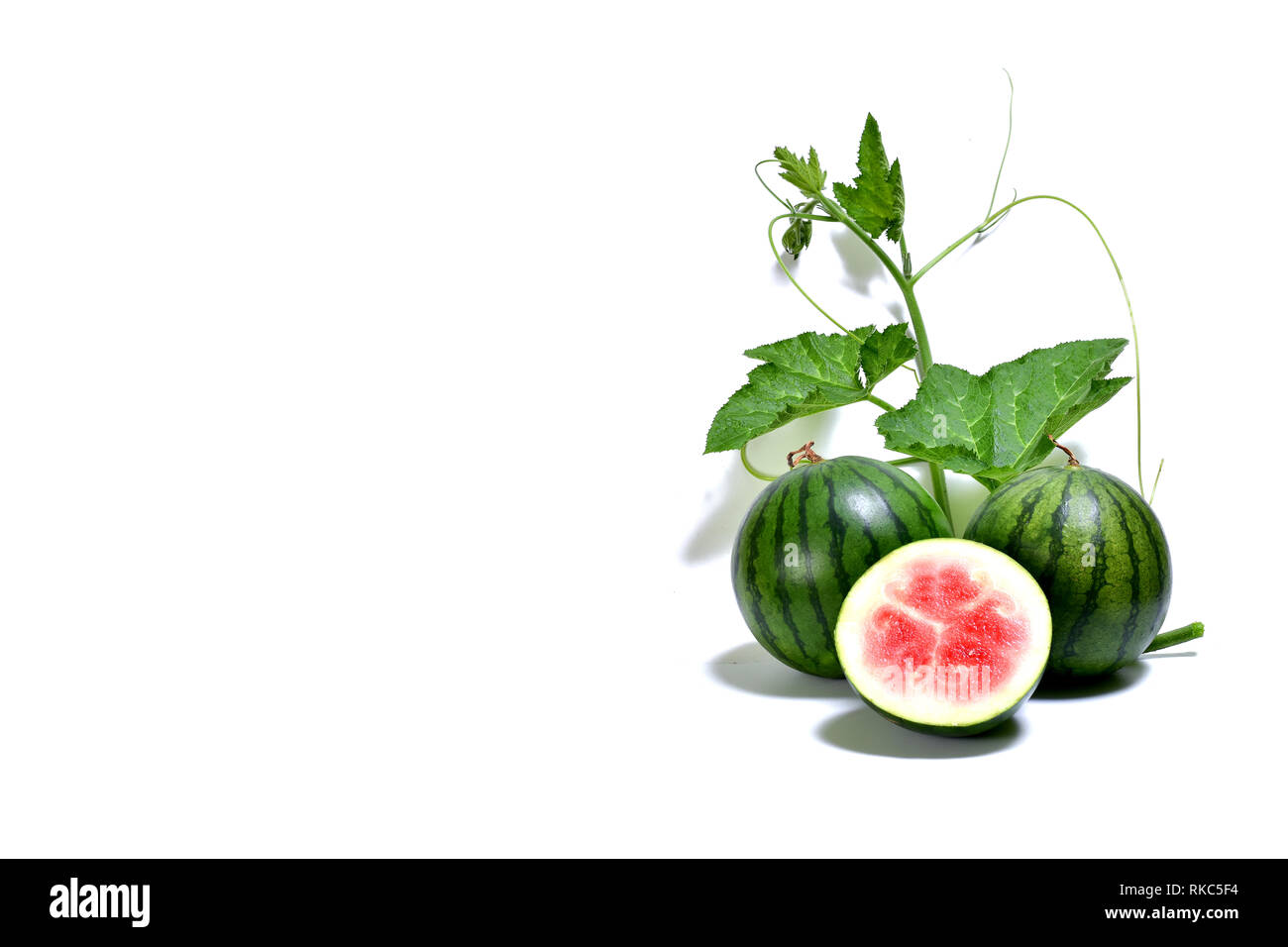 watermelon on a white background Stock Photo - Alamy