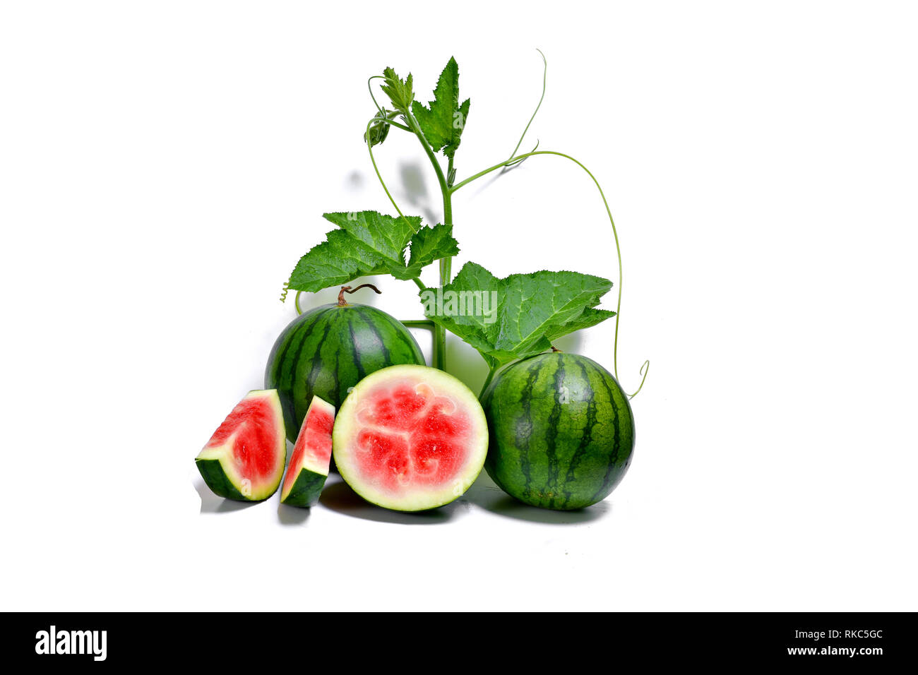 watermelon on a white background Stock Photo - Alamy