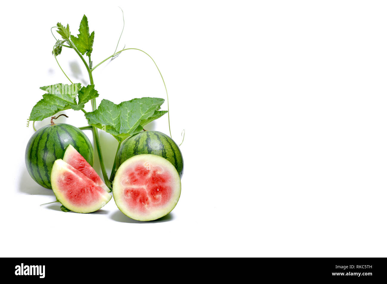 Square watermelon hi-res stock photography and images - Alamy