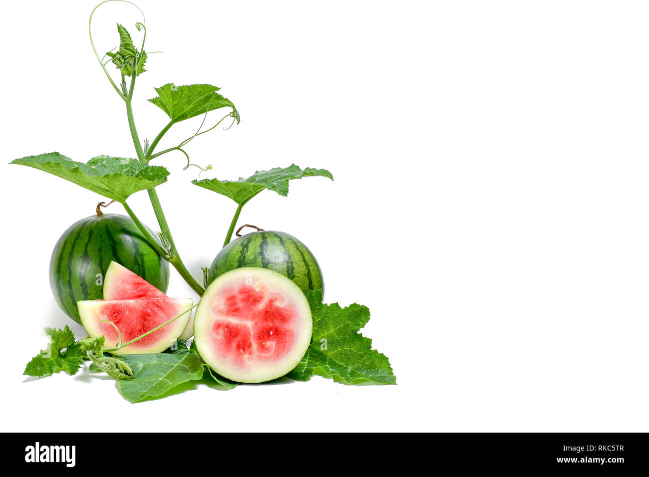 watermelon on a white background Stock Photo - Alamy