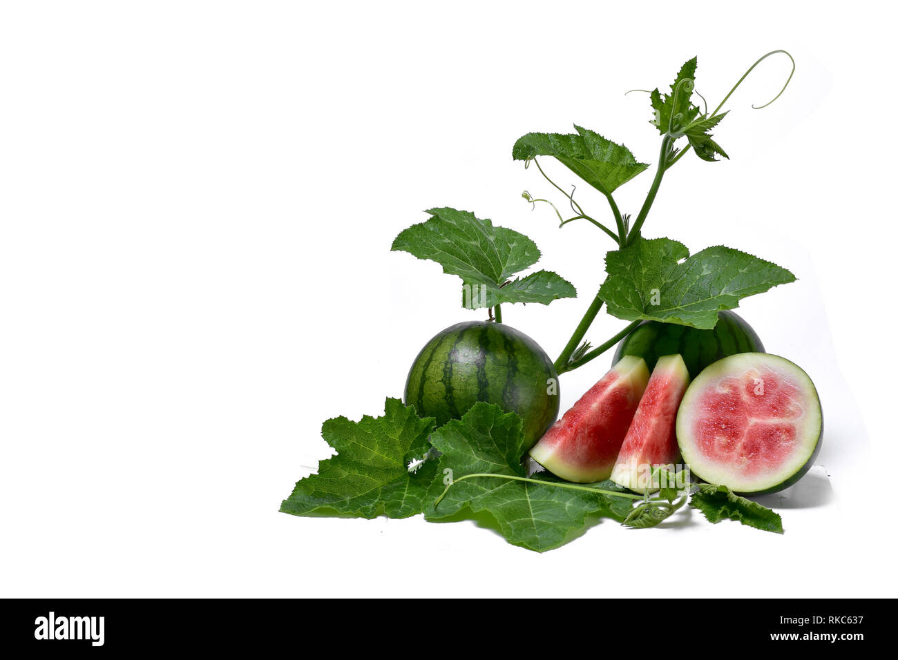 watermelon on a white background Stock Photo - Alamy