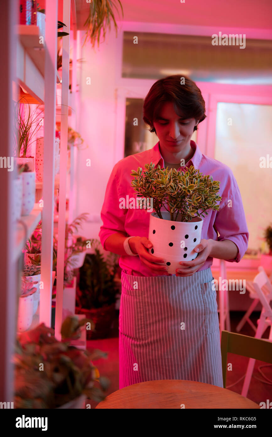 Joyful dark-haired guy in apron checking condition of lush bush in his ...