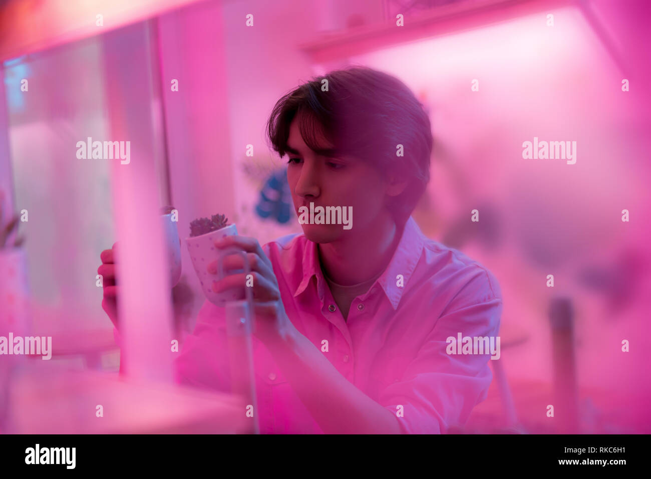 Peaceful handsome young gardener posing in pink romantic setting Stock ...
