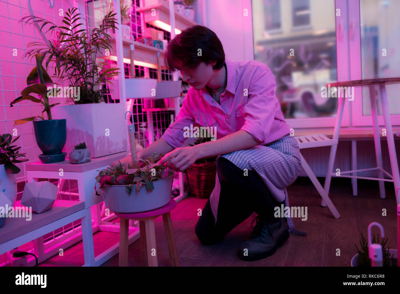 Beautifying hi-res stock photography and images - Alamy