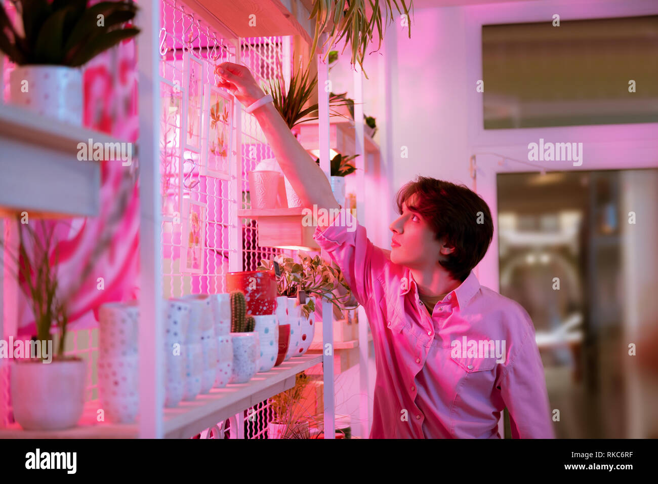 Dragging weeds hi-res stock photography and images - Alamy