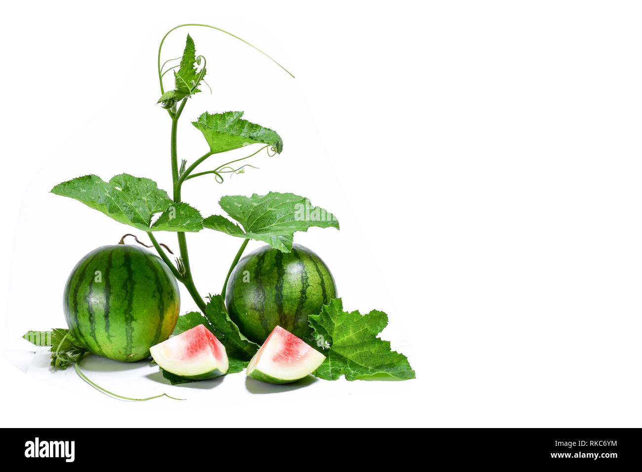 Square watermelon hi-res stock photography and images - Alamy