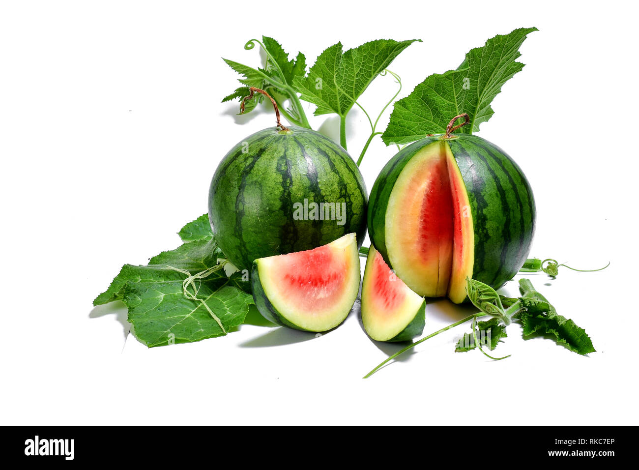watermelon on a white background Stock Photo - Alamy