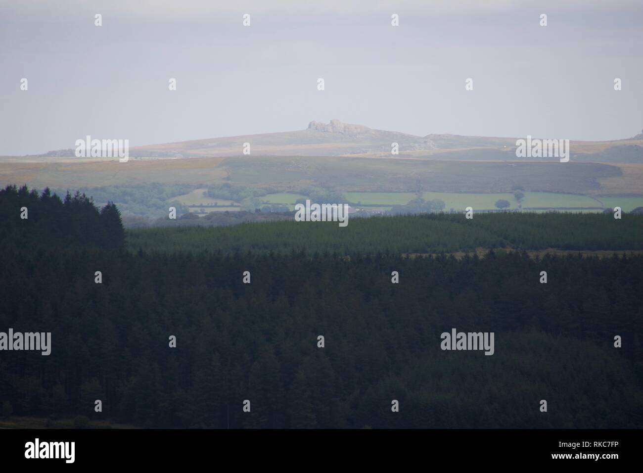 Wistmans Wood, Dartmoor National Park, Two Bridges. Devon, UK Stock ...