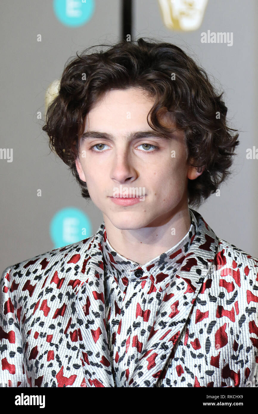 Timothee chalamet 2019 bafta hi-res stock photography and images - Alamy