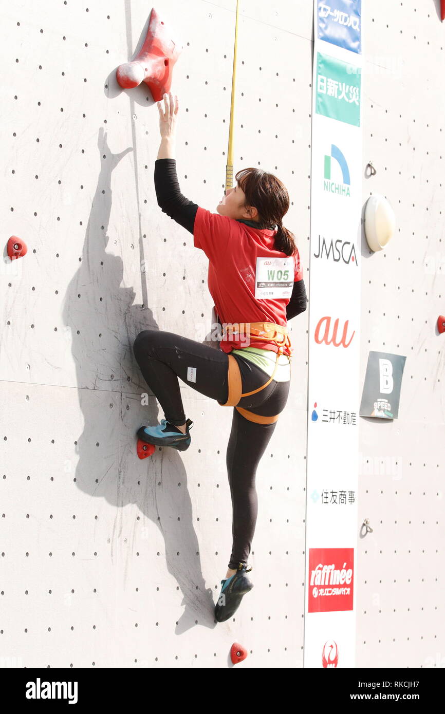 Tokyo, Japan. 10th Feb, 2019. Mei Kotake Sport Climbing : The 1st Speed ...