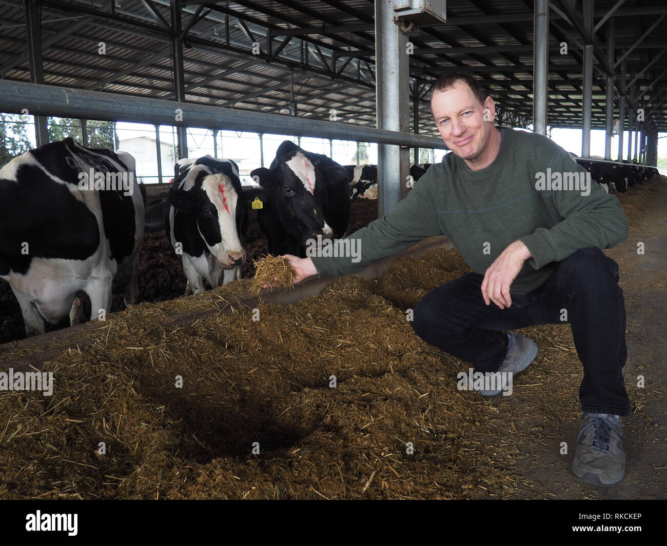 Kfar Vitkin, Israel. 22nd Jan, 2019. Farmer Peleg Orion sits next to ...